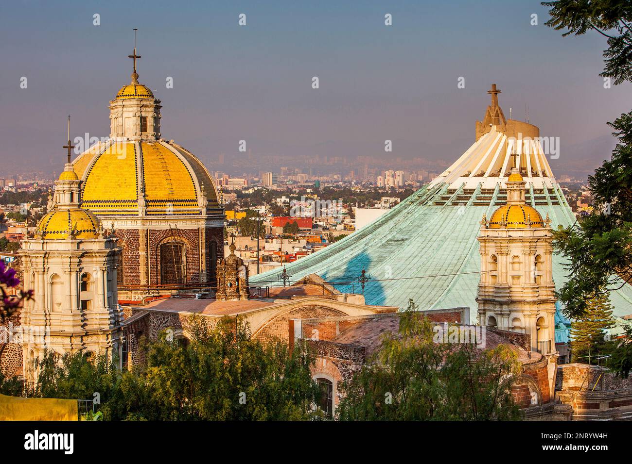 Basilica de la virgen de guadalupe hi-res stock photography and images ...