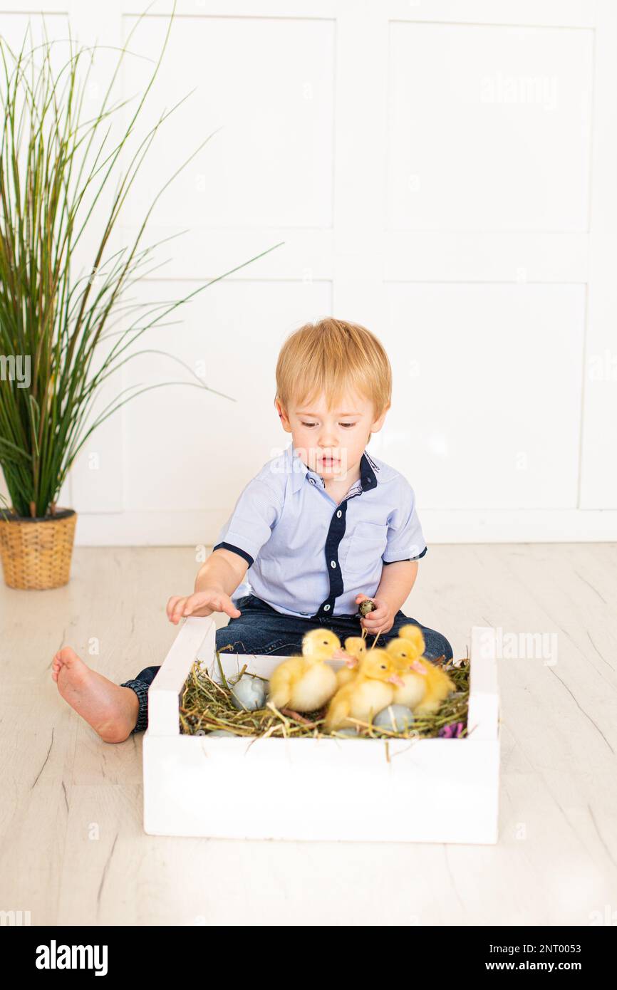 Cute children, boy, playing with ducks Stock Photo - Alamy