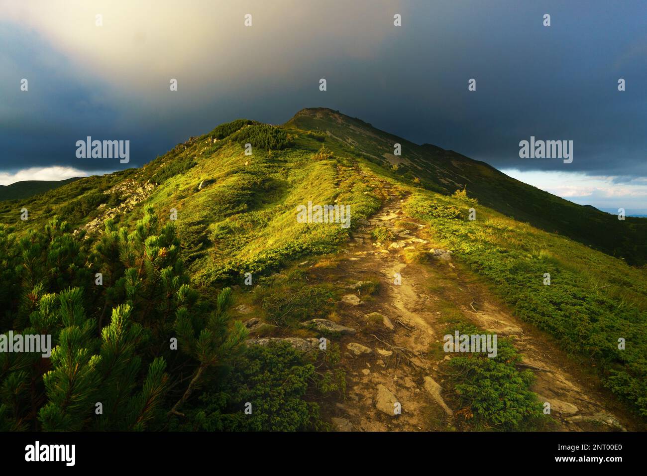 Mystic wilderness nature landscape. Hard stone road up. Way to the top ...