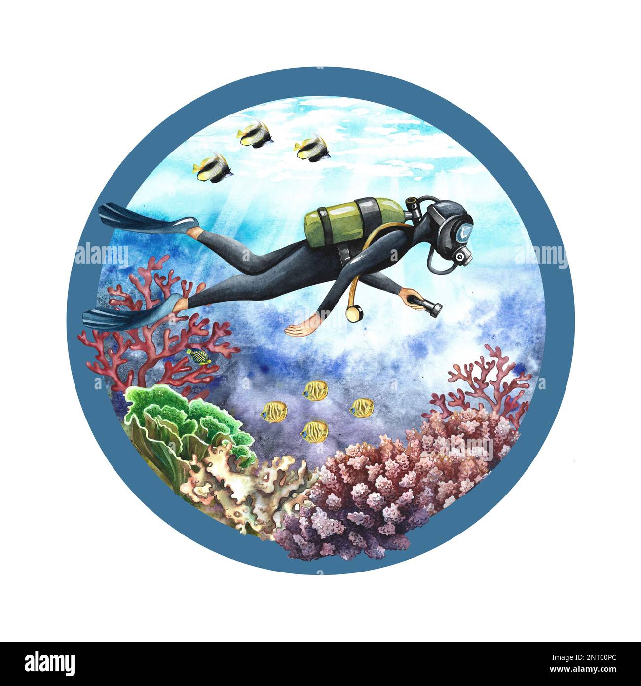 The diver swims underwater at the bottom of the sea. Underwater travel ...