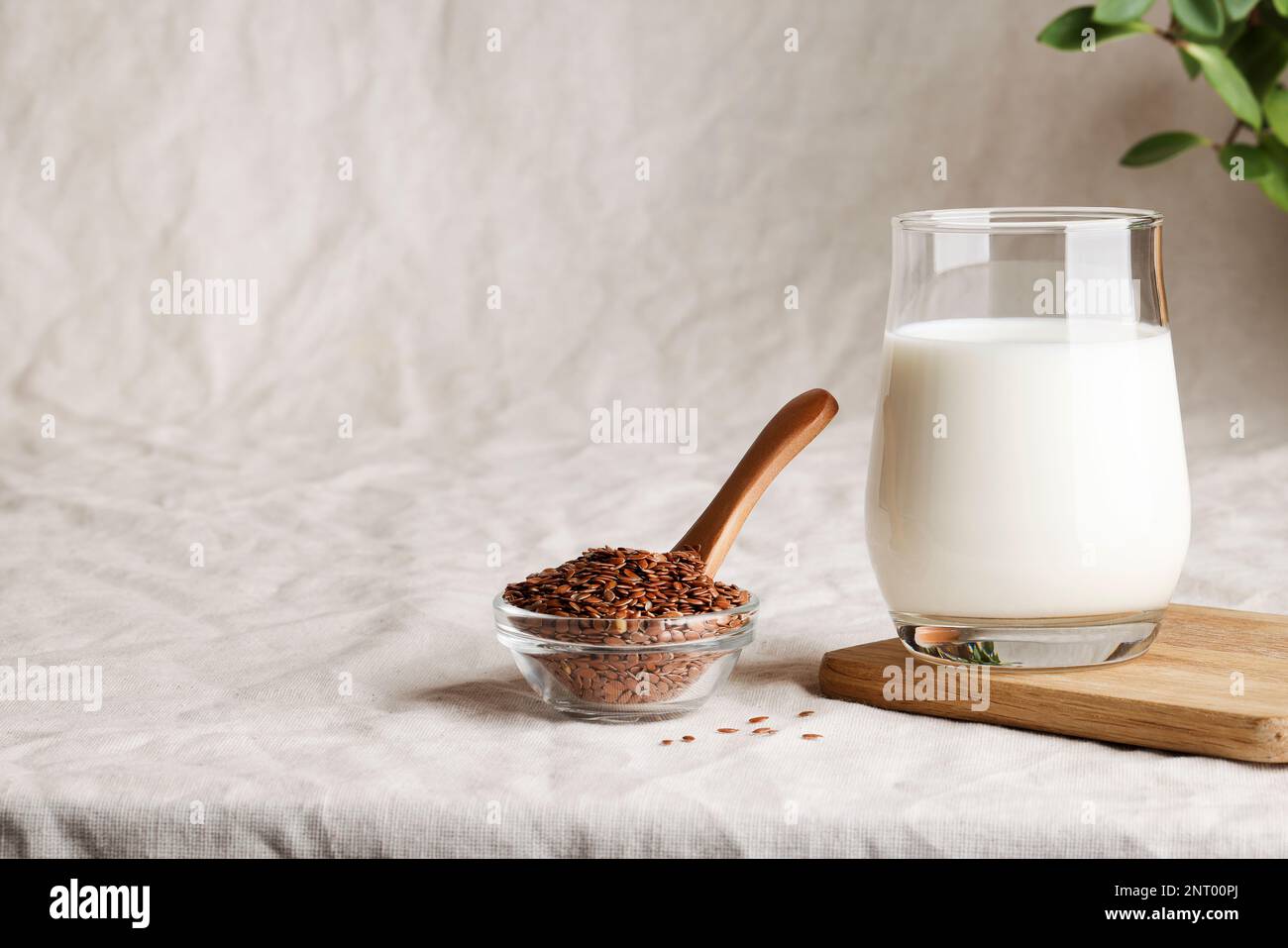 flax seed milk in glass on textile background with plant. copy space ...