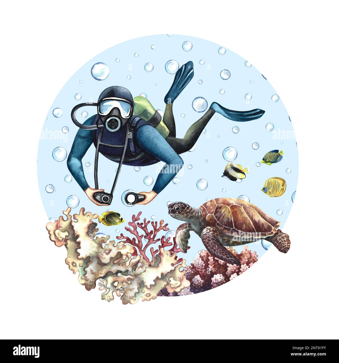 The diver swims underwater at the bottom of the sea. Underwater travel ...