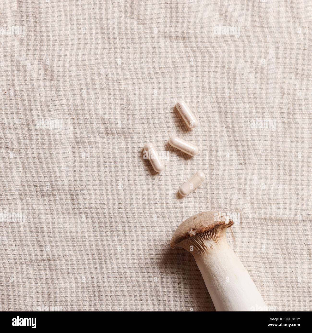 mushrooms and natural herbal pills on textile gray background ...
