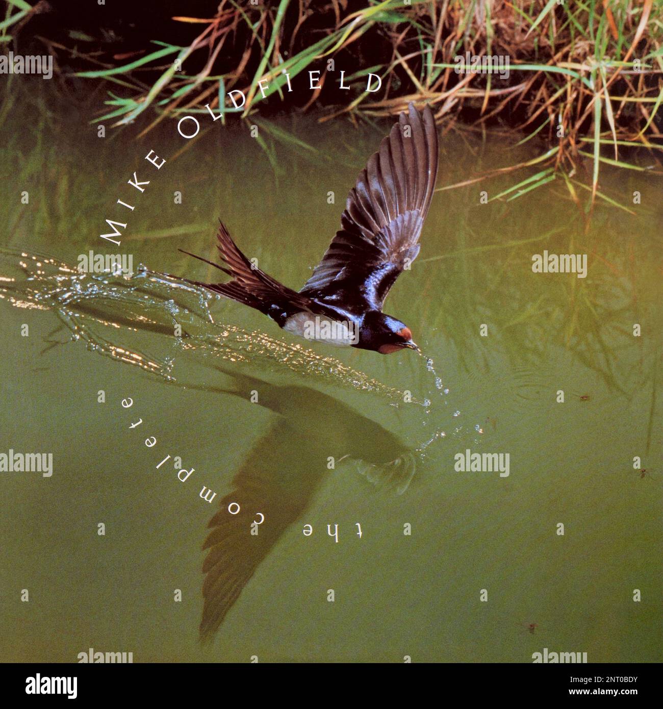 1985 france hi-res stock photography and images - Alamy