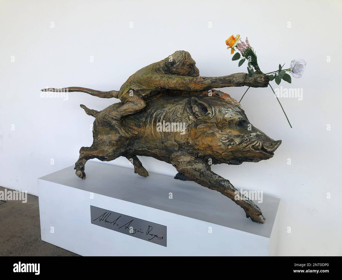 Bronze statue of a monkey riding a wild pig, peccary or javelina by ...