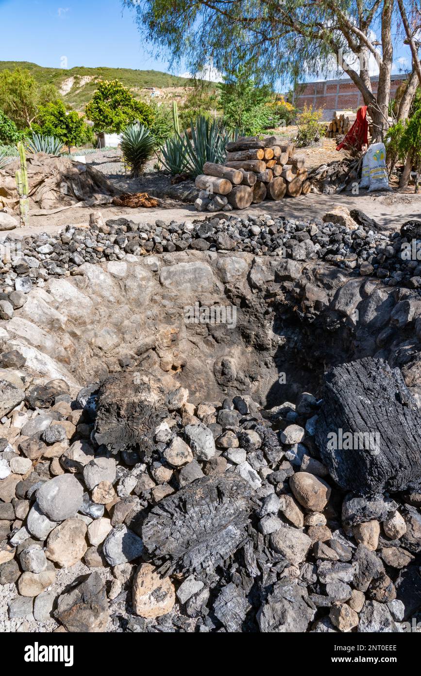 A fire pit or oven for roasting the agave hearts at a small mezcal ...