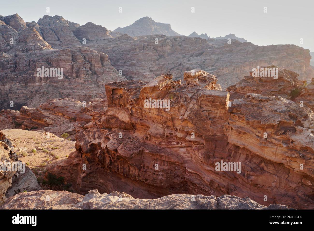 Beautiful landscape with ginger rocks, green spring plants and tree in ...