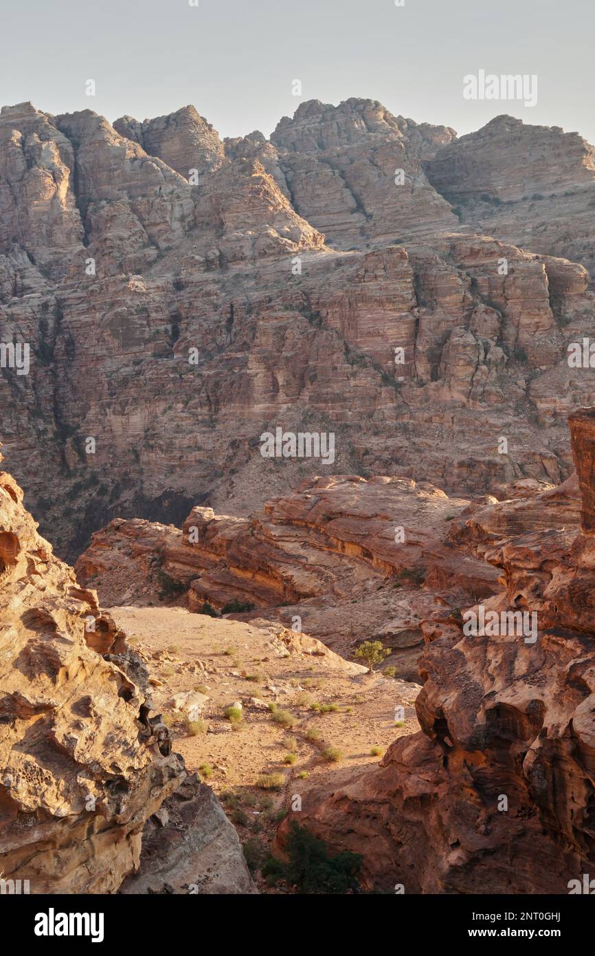 Beautiful landscape with ginger rocks, green spring plants and tree in ...
