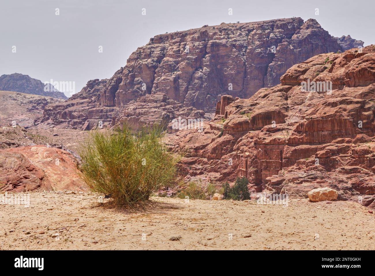Ginger rocks hi-res stock photography and images - Alamy