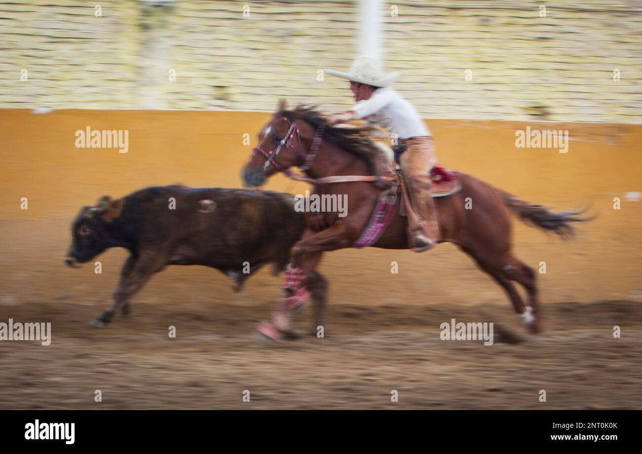 A charreada Mexican rodeo at the Lienzo Charro Zermeno, Guadalajara ...