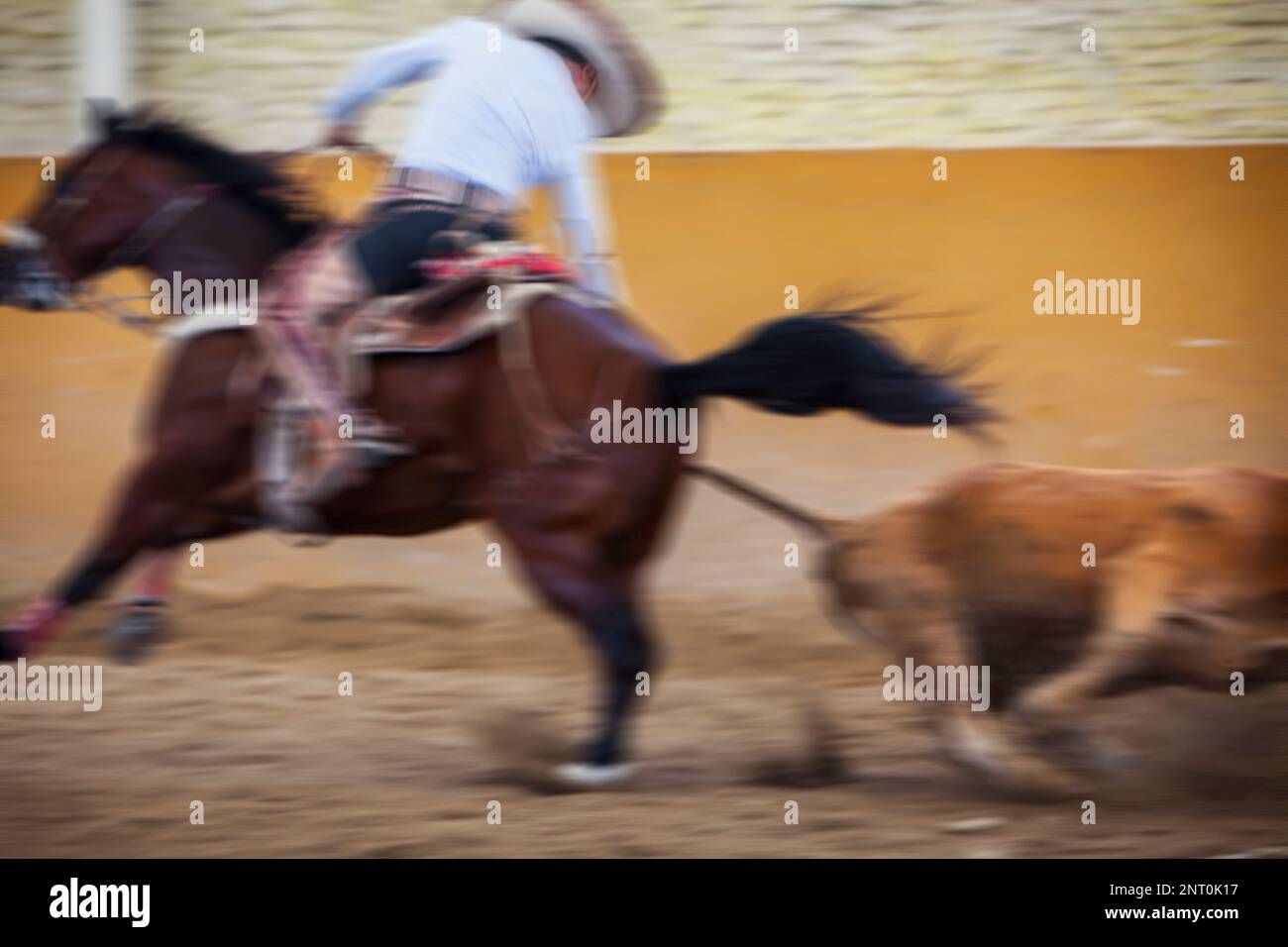 A charreada Mexican rodeo at the Lienzo Charro Zermeno, Guadalajara ...