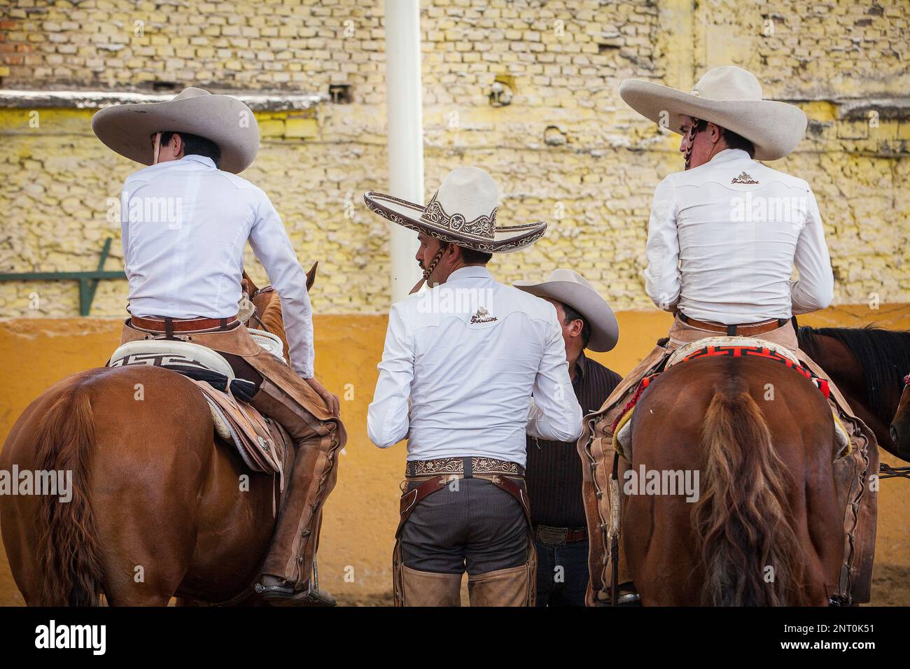 Mexican charros. A charreada Mexican rodeo at the Lienzo Charro Zermeno ...