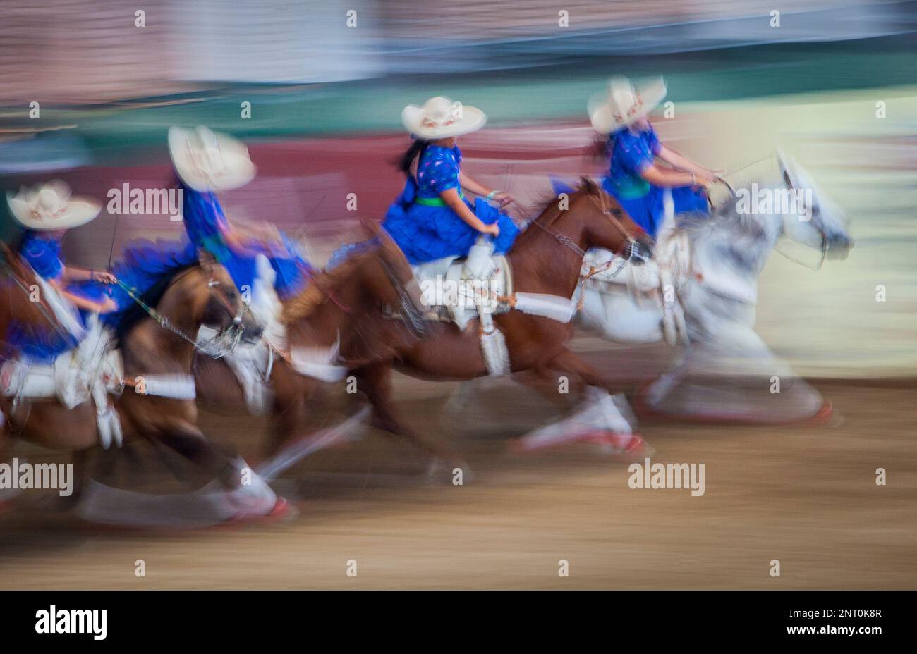 Escaramuzas ride their horses. A charreada Mexican rodeo at the Lienzo ...