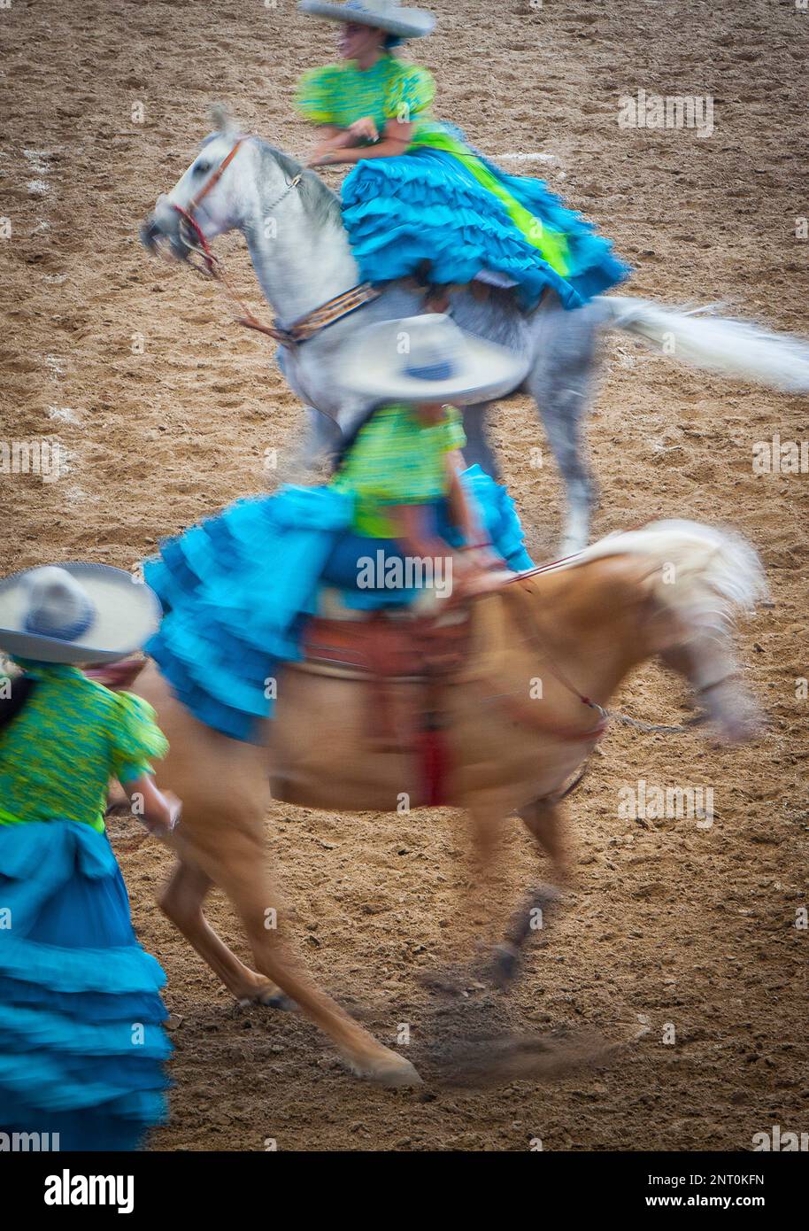 Escaramuzas ride their horses. A charreada Mexican rodeo at the Lienzo ...
