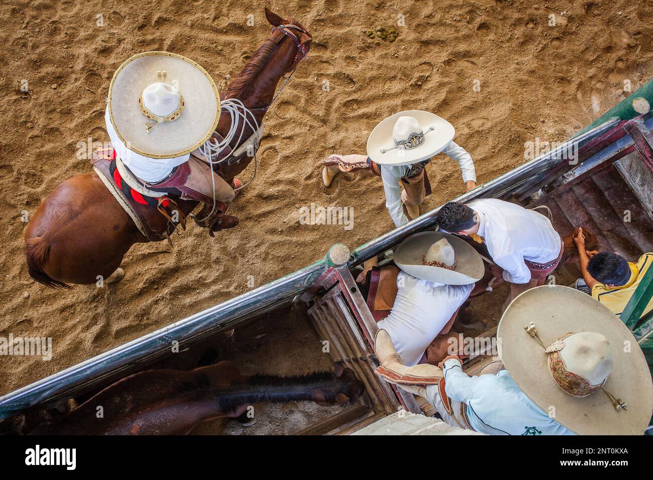 A charreada Mexican rodeo at the Lienzo Charro Zermeno, Guadalajara ...