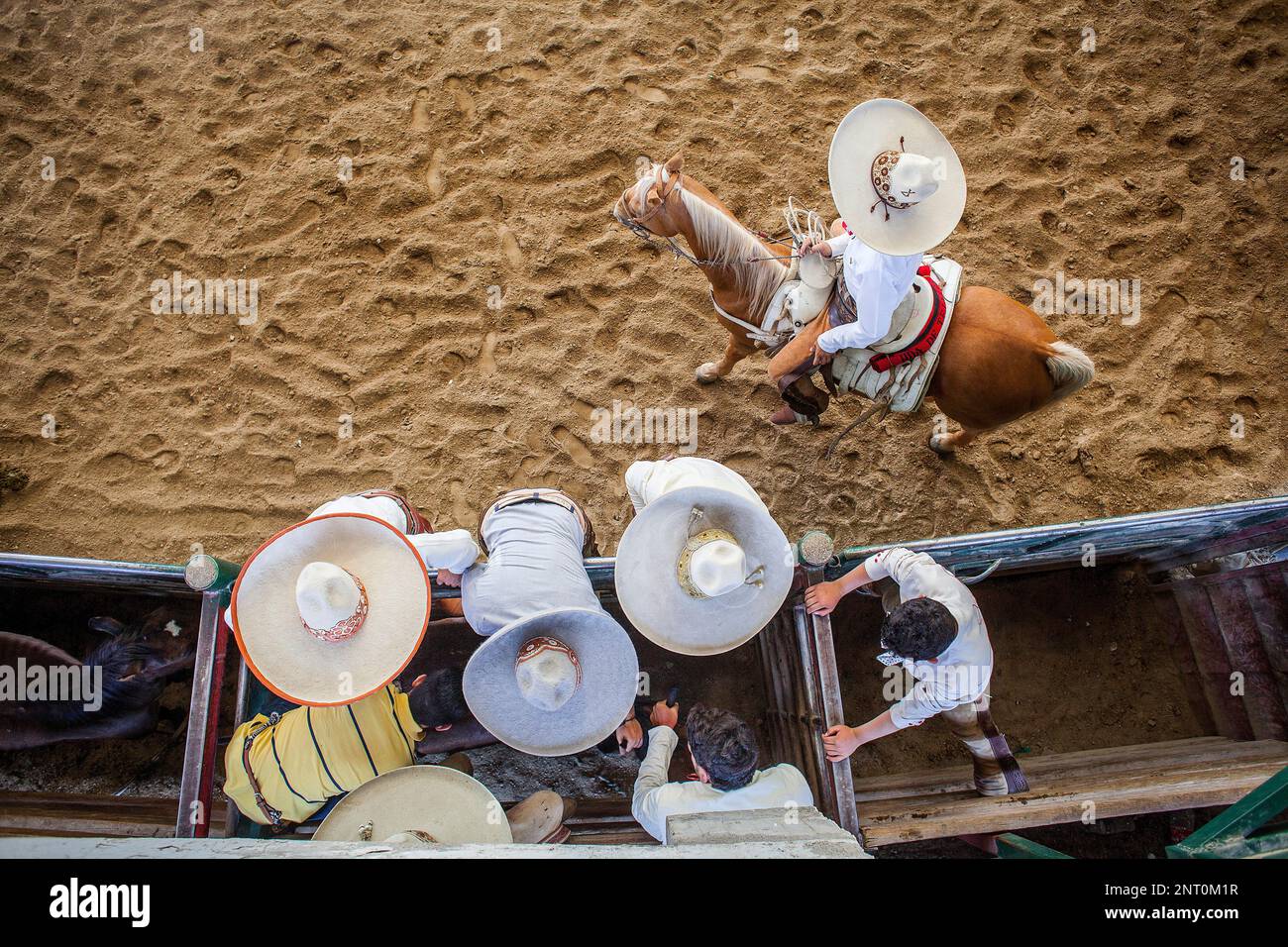 A charreada Mexican rodeo at the Lienzo Charro Zermeno, Guadalajara ...