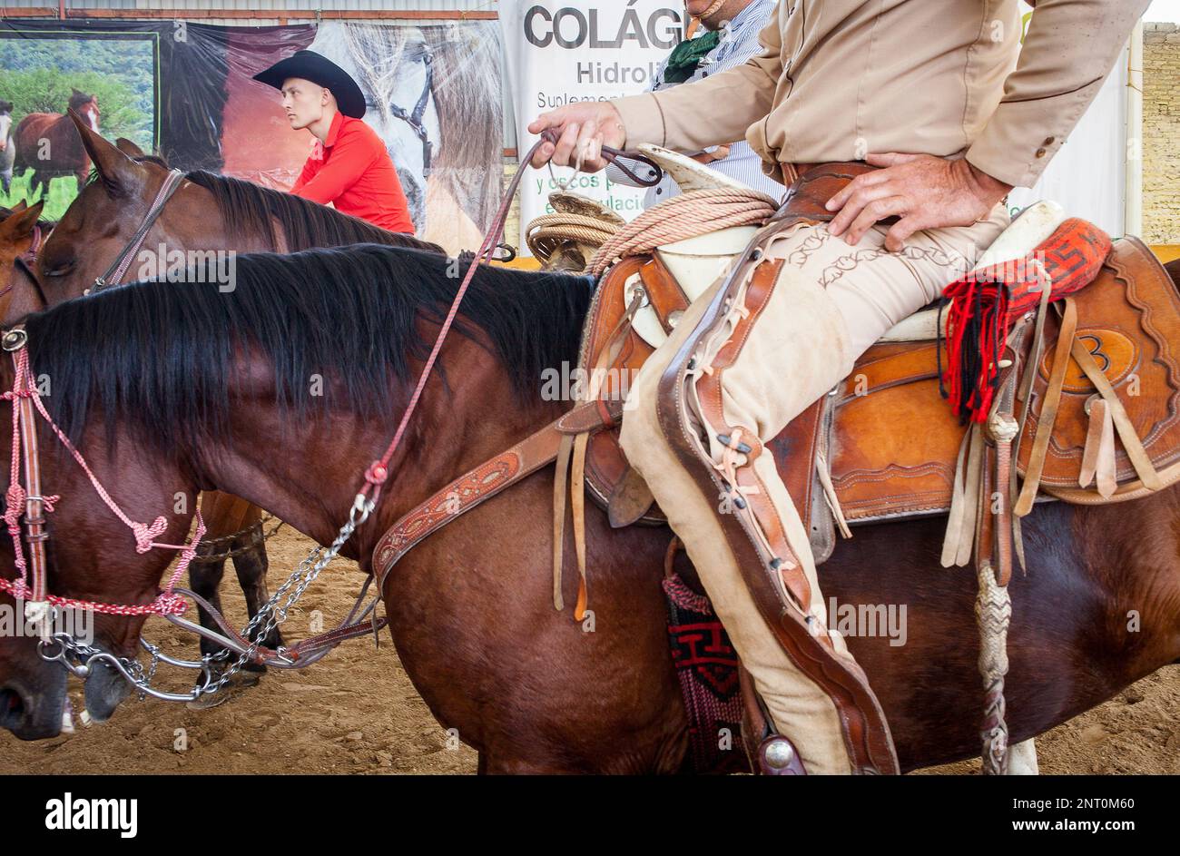 Spectators watch a charreada Mexican rodeo at the Lienzo Charro Zermeno ...
