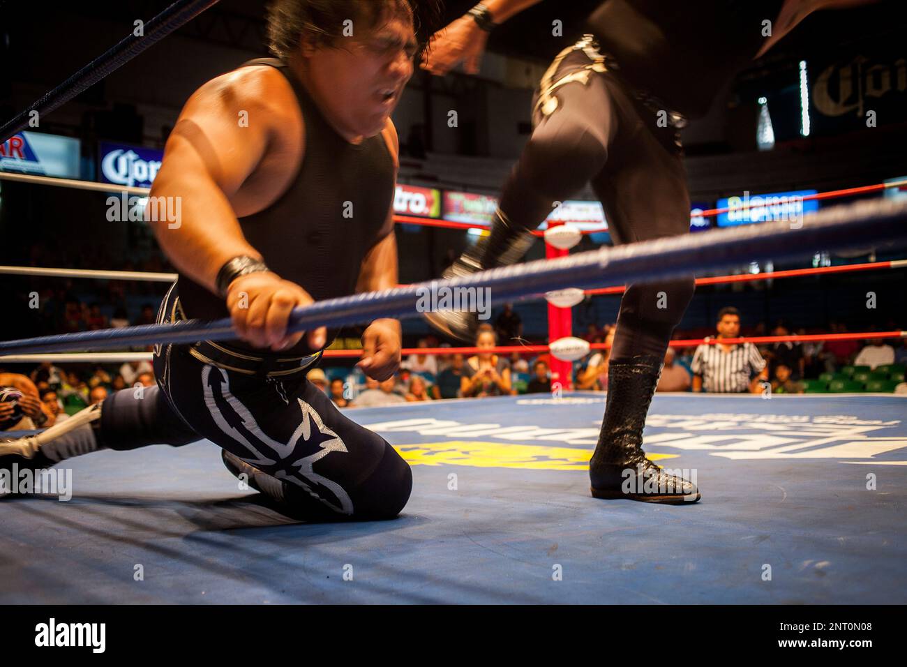 Wrestlers perform in a Lucha Libre event in Guadalajara Arena Coliseo ...