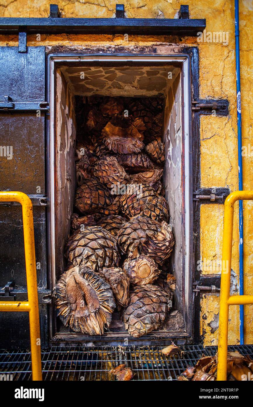 baked agave, oven for baking agave, Jose cuervo tequila distillery in ...