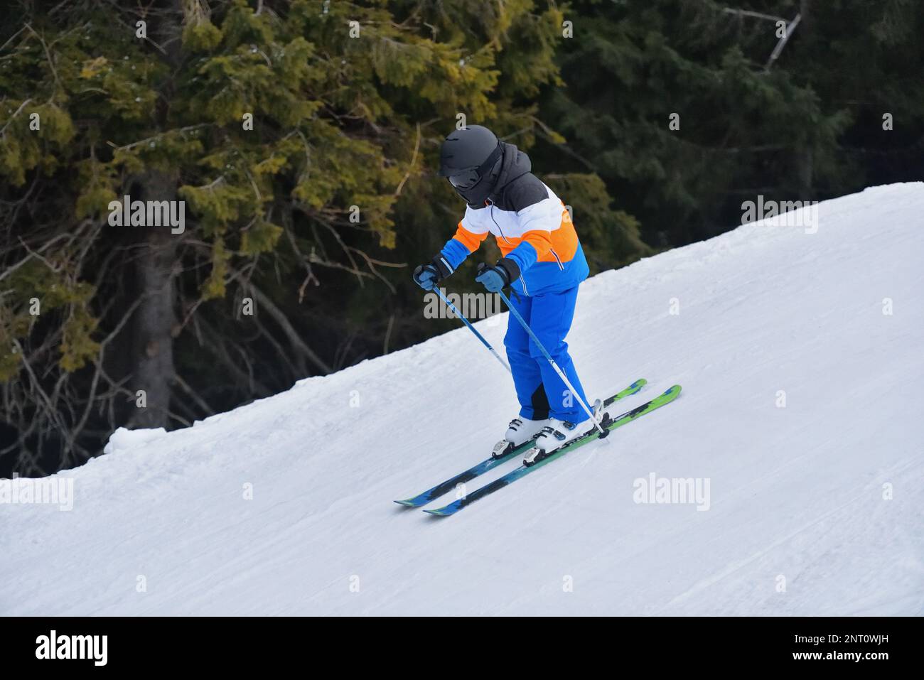 Skiing with Nature: A Young Skier Zipping Downhill Alongside a Lush ...