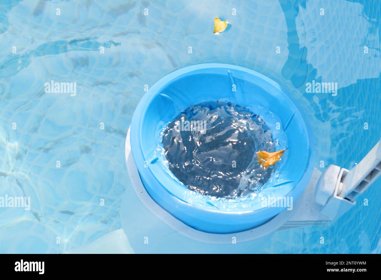 Top view of the blue skimmer for cleaning the pool in clear water ...
