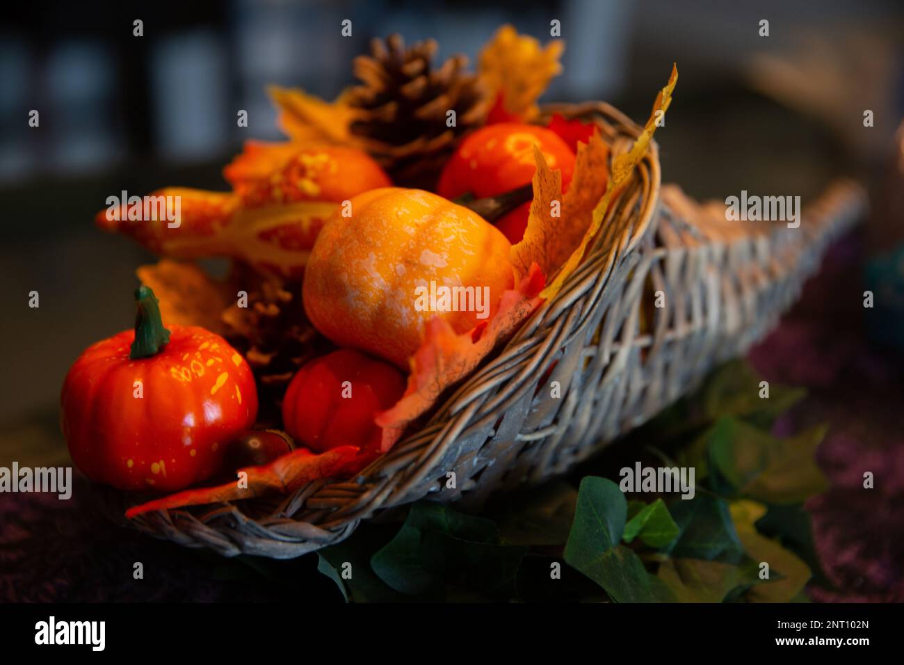 Cornucopia with Gourdes inside Stock Photo - Alamy
