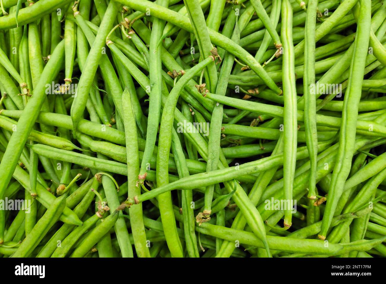 Close-up on a stack of green beans in a market stall Stock Photo - Alamy