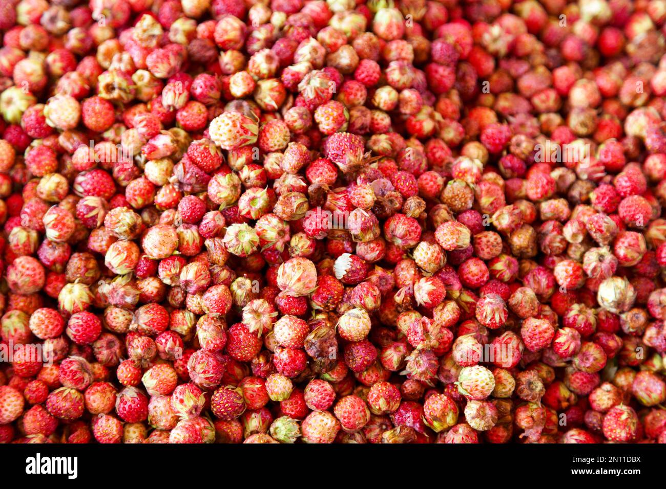 Close-up on a stack of wood strawberries for sale on a market stall ...