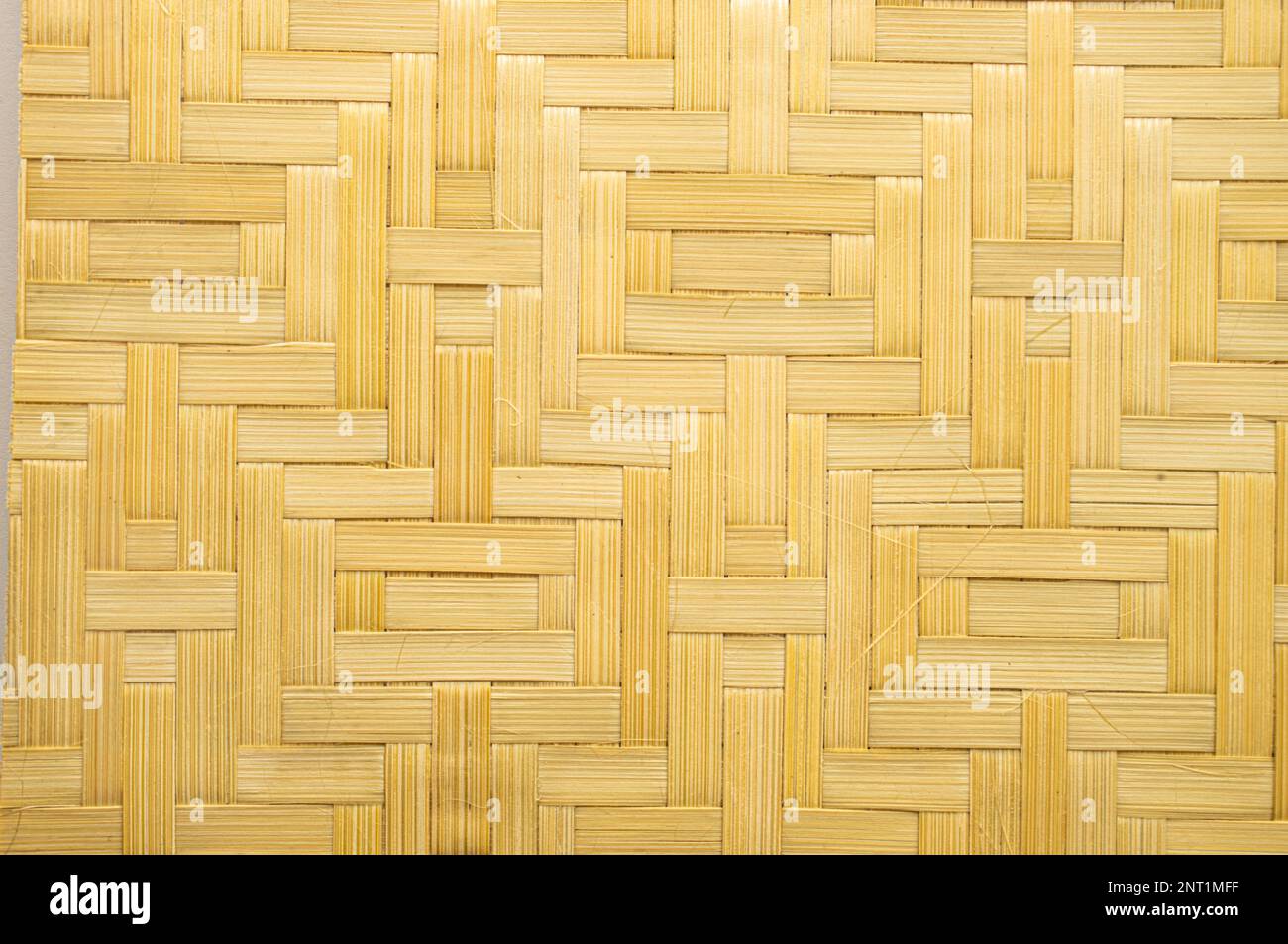 bamboo background for splash screen Stock Photo - Alamy