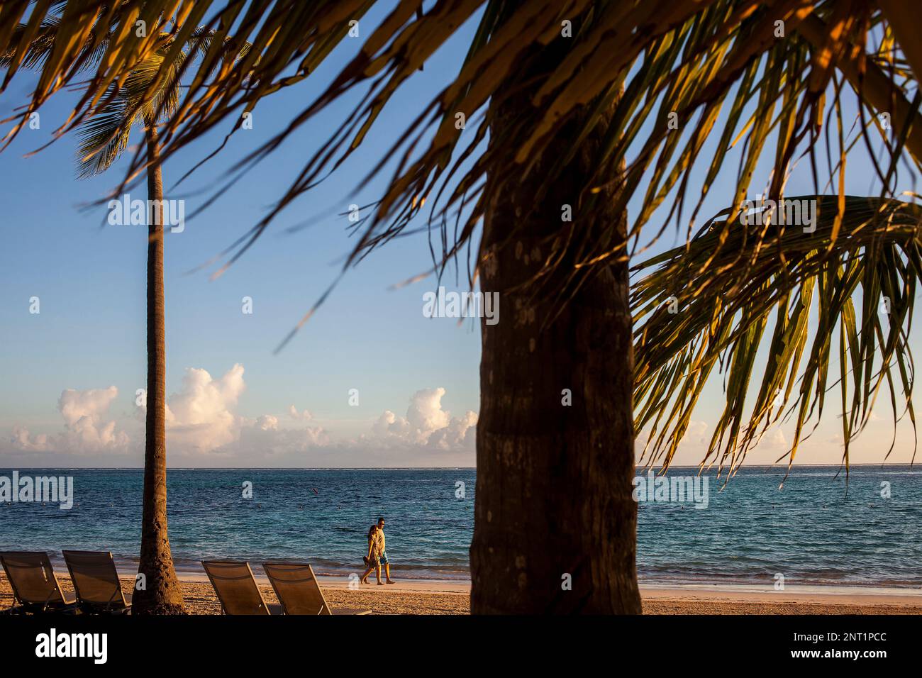 Barcelo bavaro beach resort hi-res stock photography and images - Alamy