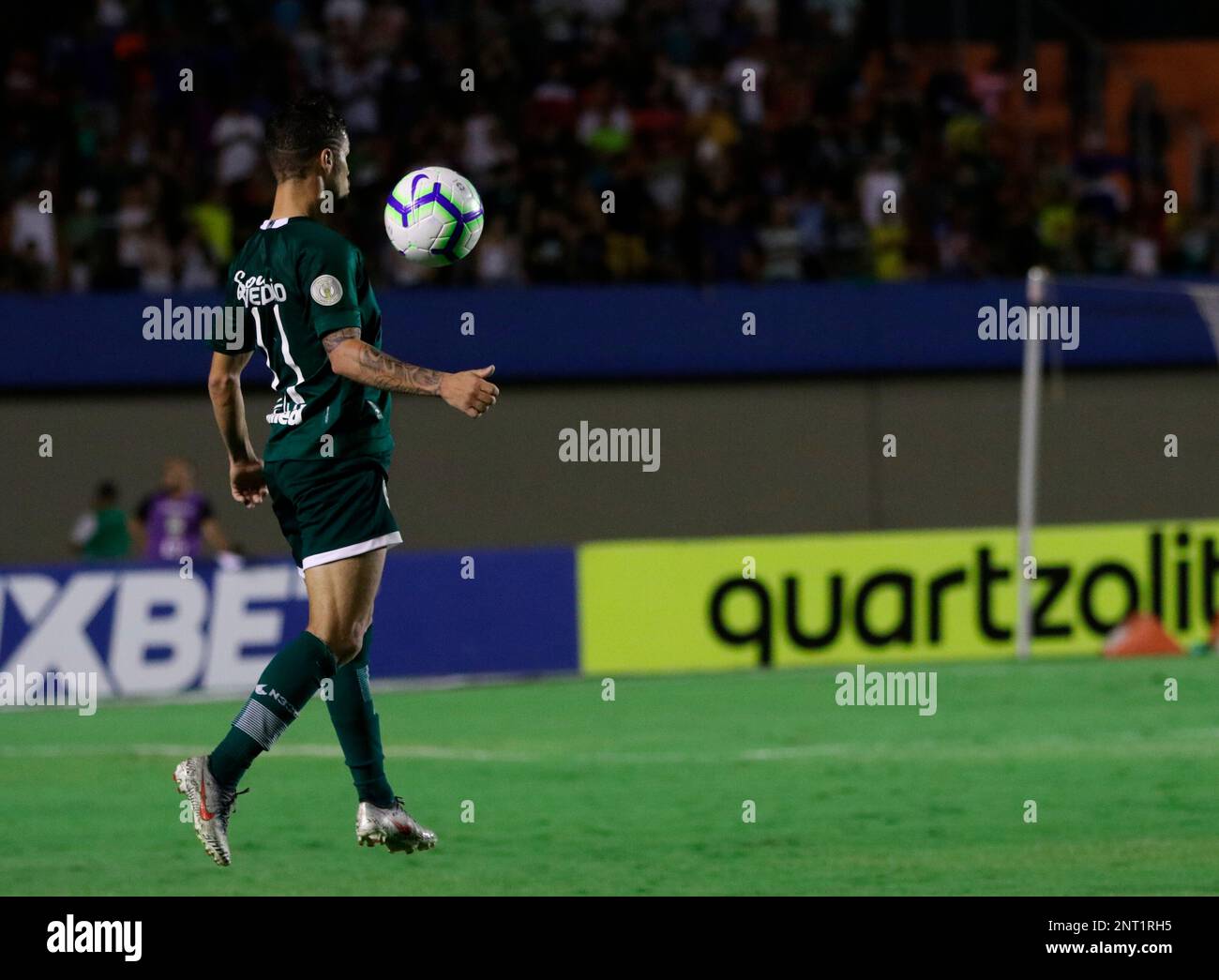 GO - Goiania - 09/07/2019 - Brazilian A 2019 Goi sx Palmeiras - Michael ...