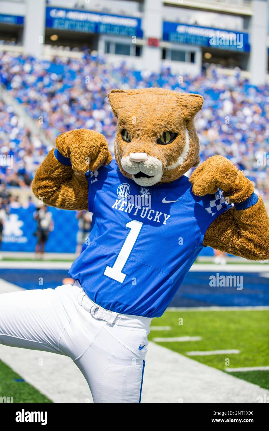 LEXINGTON, KY - AUGUST 31: Kentucky mascot, Wildcat, poses during a ...
