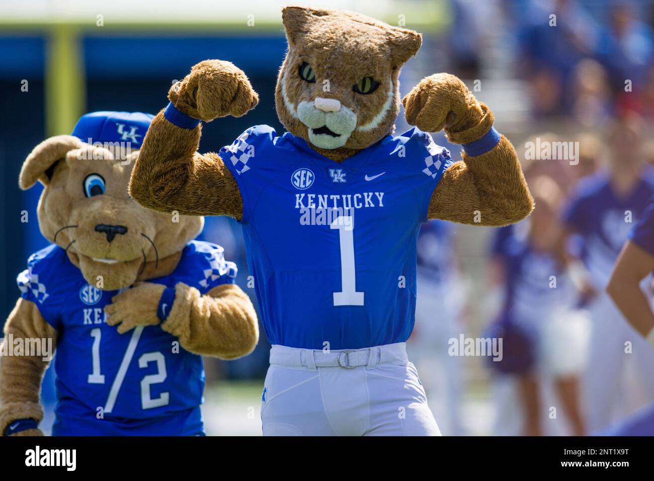 Kentucky Wildcats Mascot