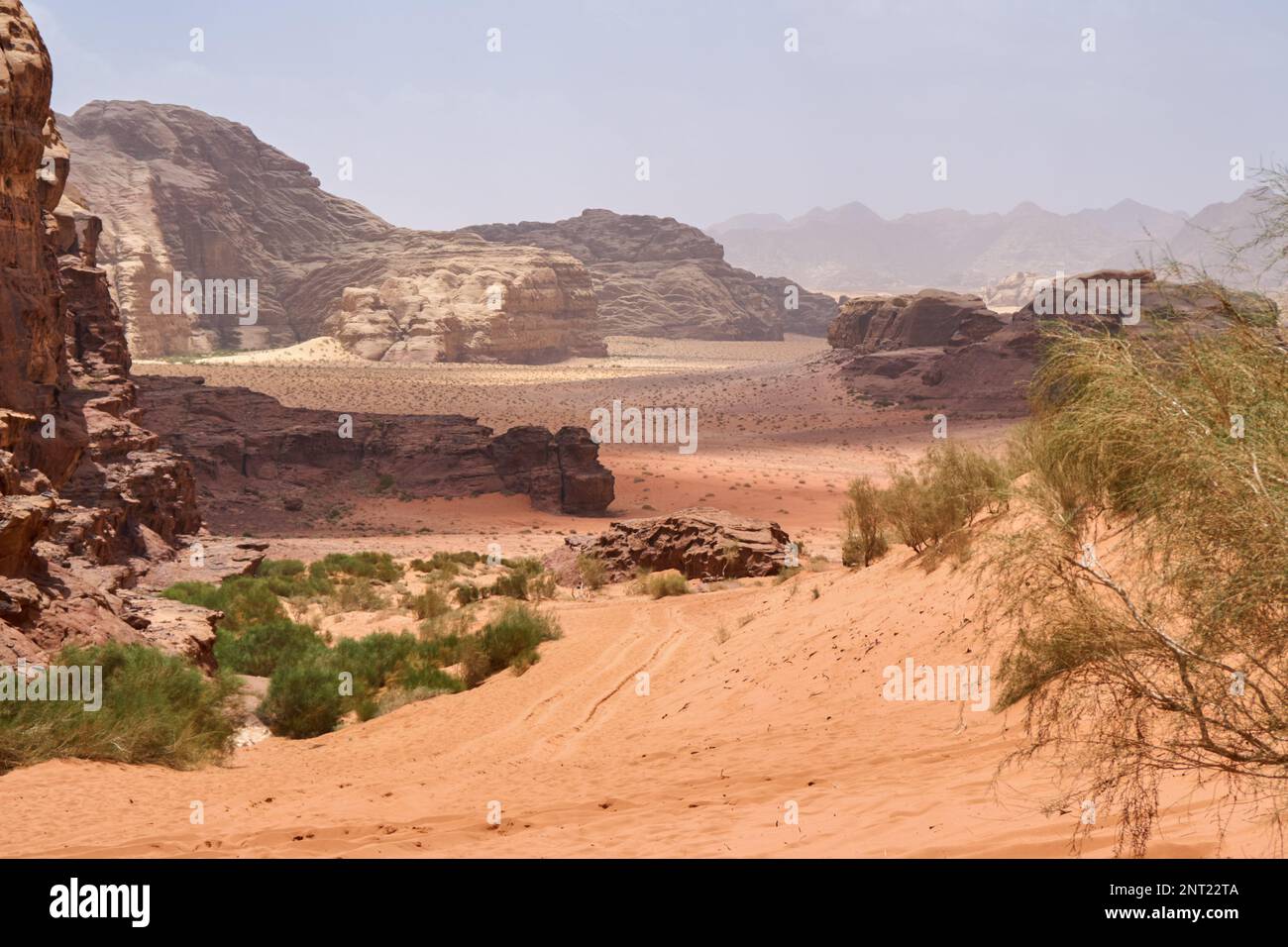Wadi Rum desert, Jordan, Middle East, The Valley of the Moon. Orange ...