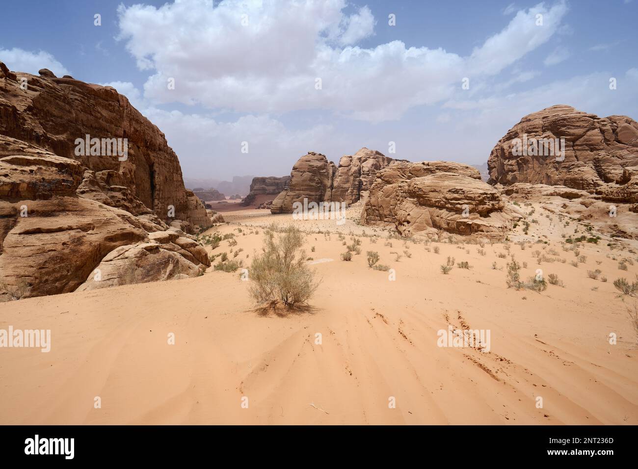 Wadi Rum desert, Jordan, Middle East, The Valley of the Moon. Orange ...