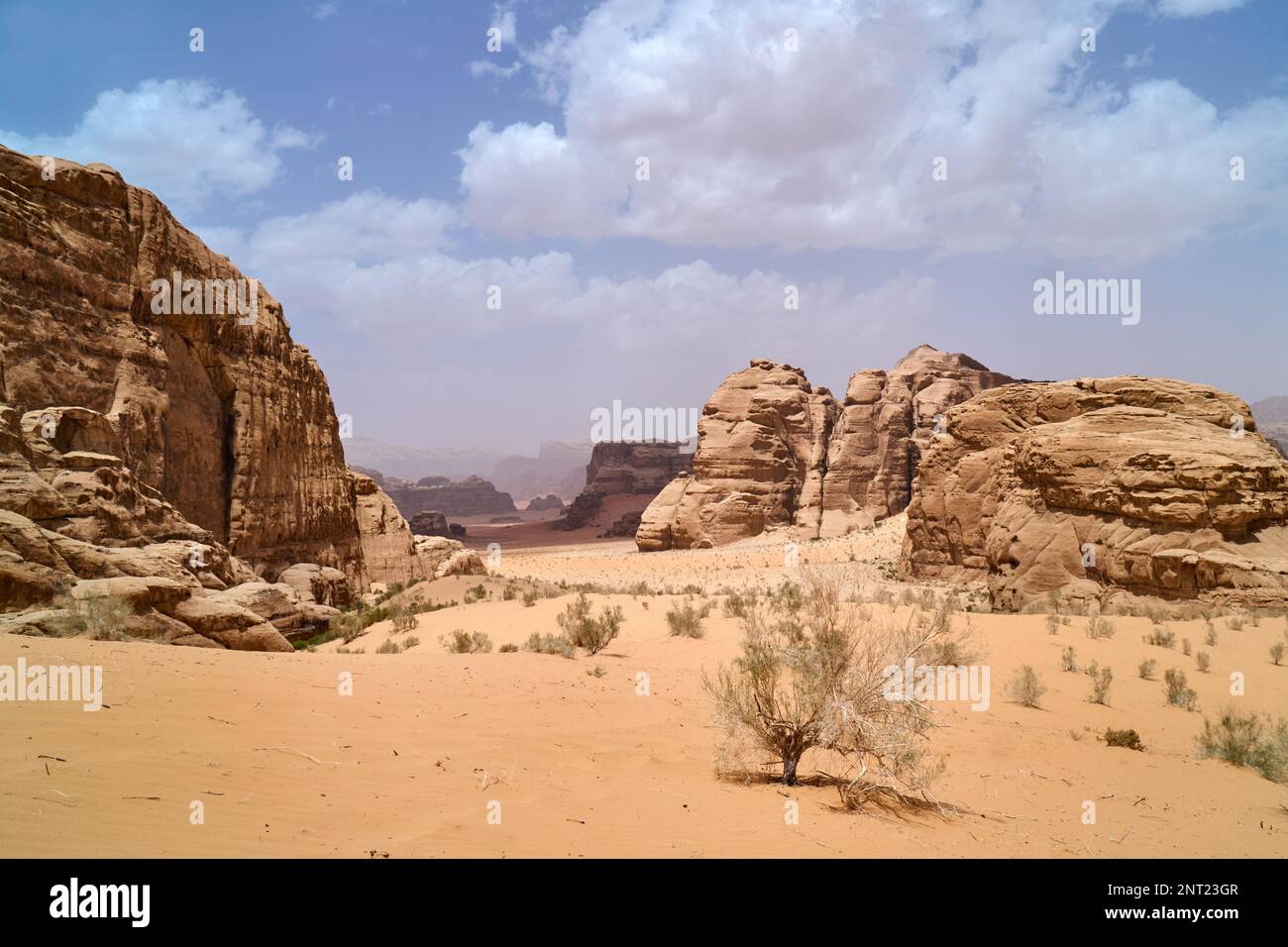 Wadi Rum desert, Jordan, Middle East, The Valley of the Moon. Orange ...