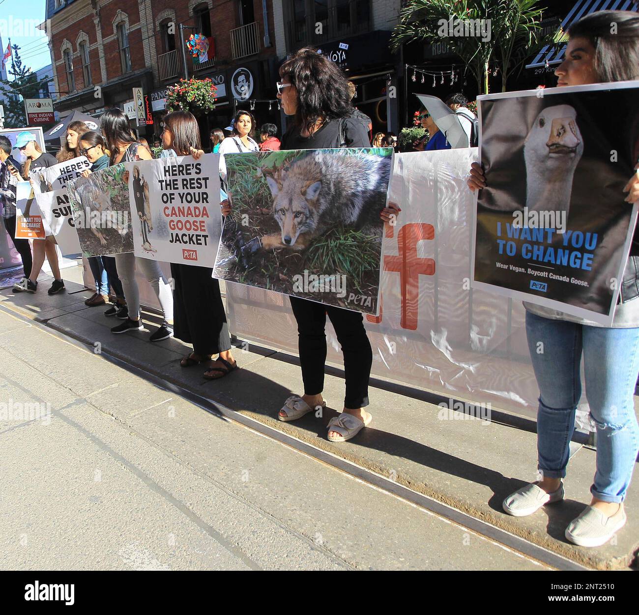 Photo by: STRF/STAR MAX/IPx 2019 9/5/19 PETA Protests Canada Goose ...