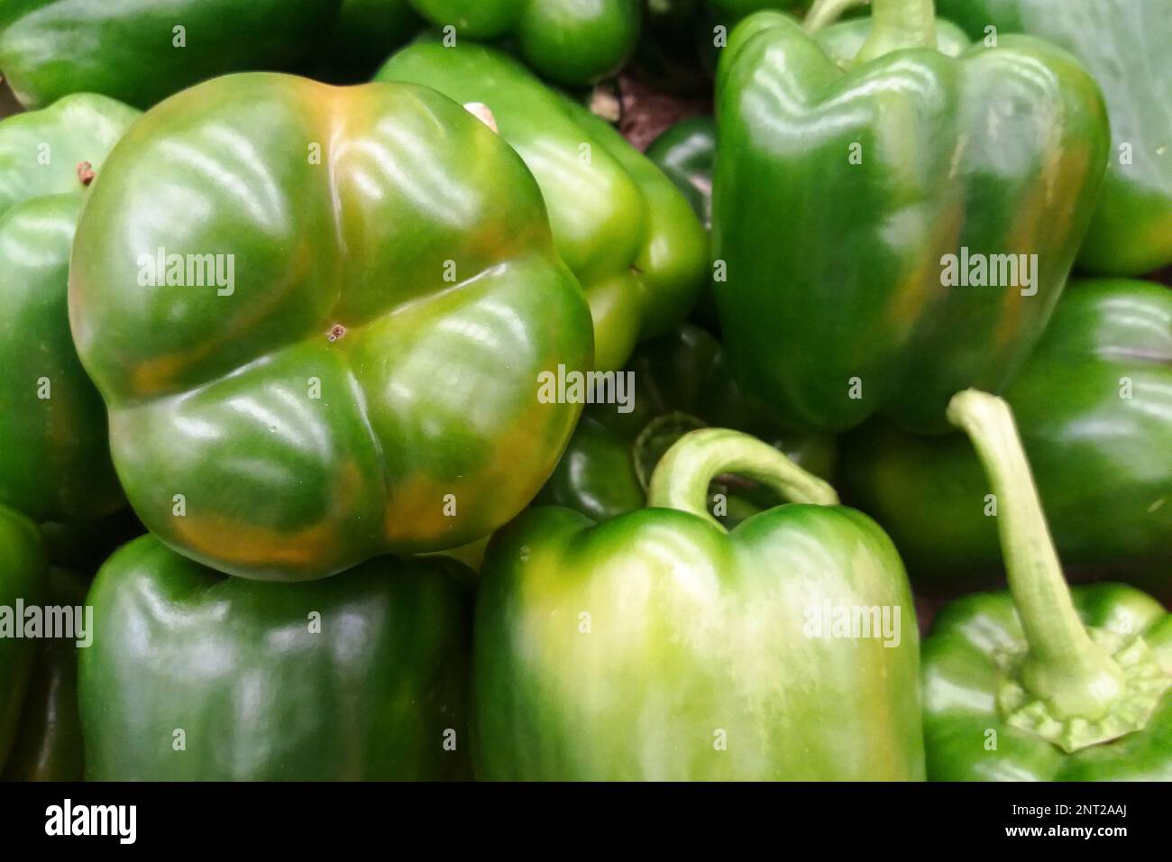 Close-up on a stack of green bell peppers on a market stall Stock Photo ...