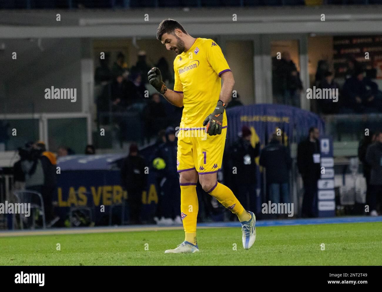 Verona, Italy, 27/02/2023, Marcantonio Bentegodi stadium, Verona, Italy ...
