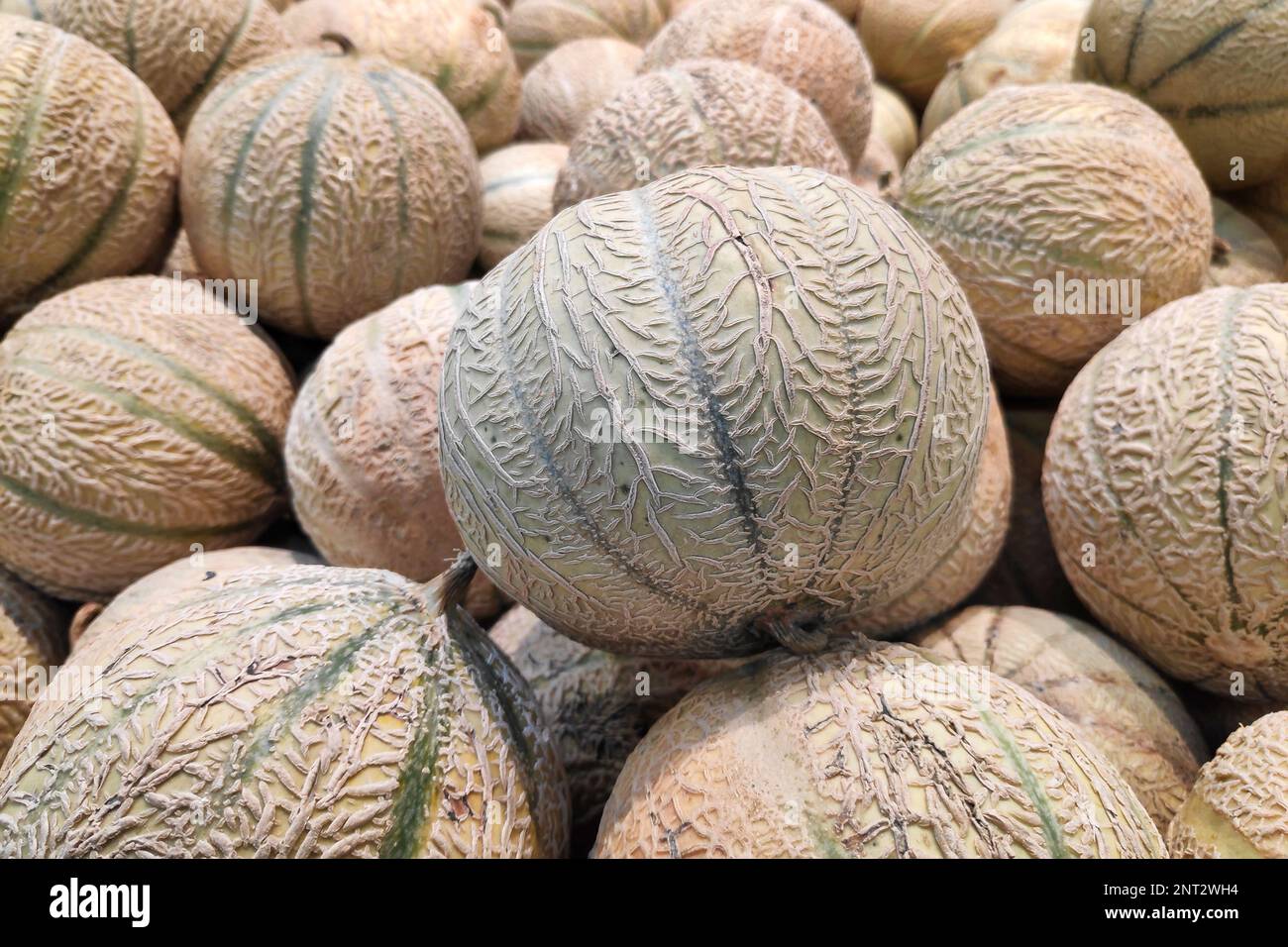 Full frame close-up on a stack of Melons on a market stall Stock Photo ...