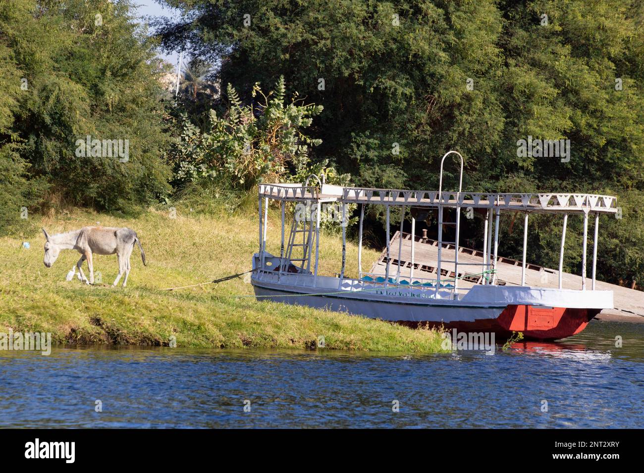 Donkey and small boat moored on River Nile Stock Photo - Alamy