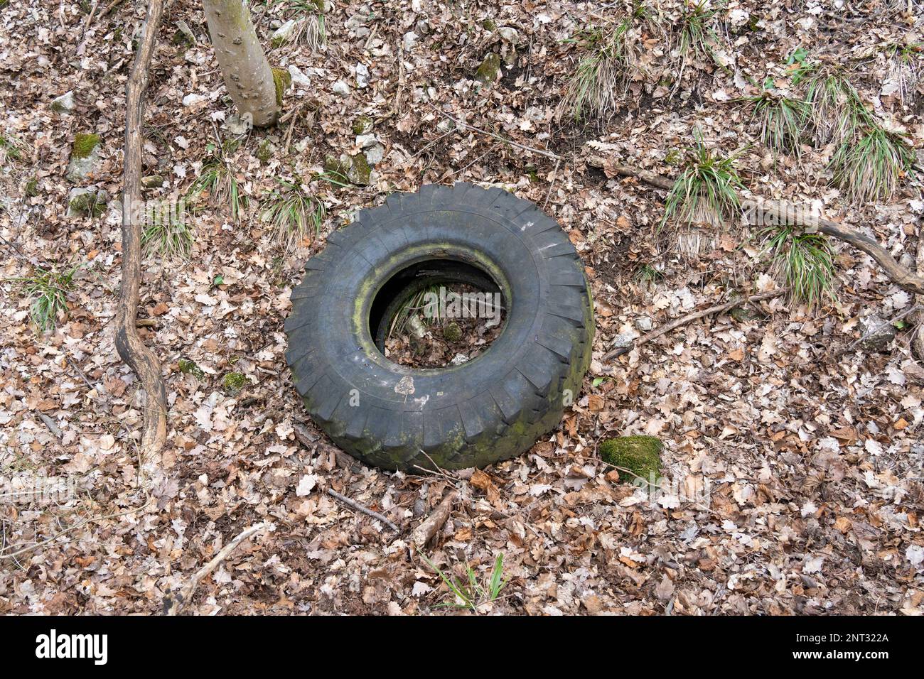 Tire discarded as garbage in forest debris Stock Photo - Alamy