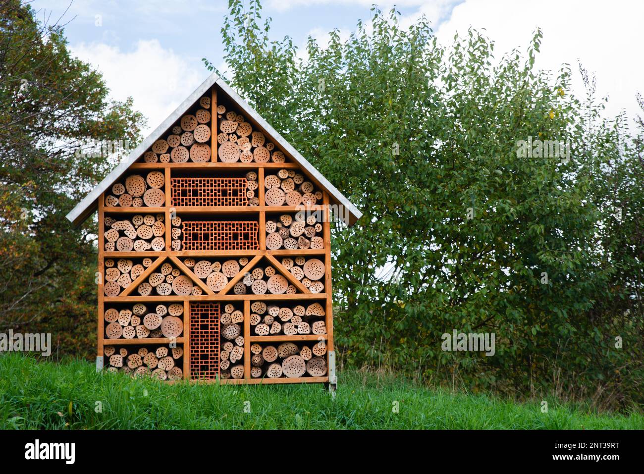 Wooden insect hotel, habitat for bugs and bees, rescue house ...