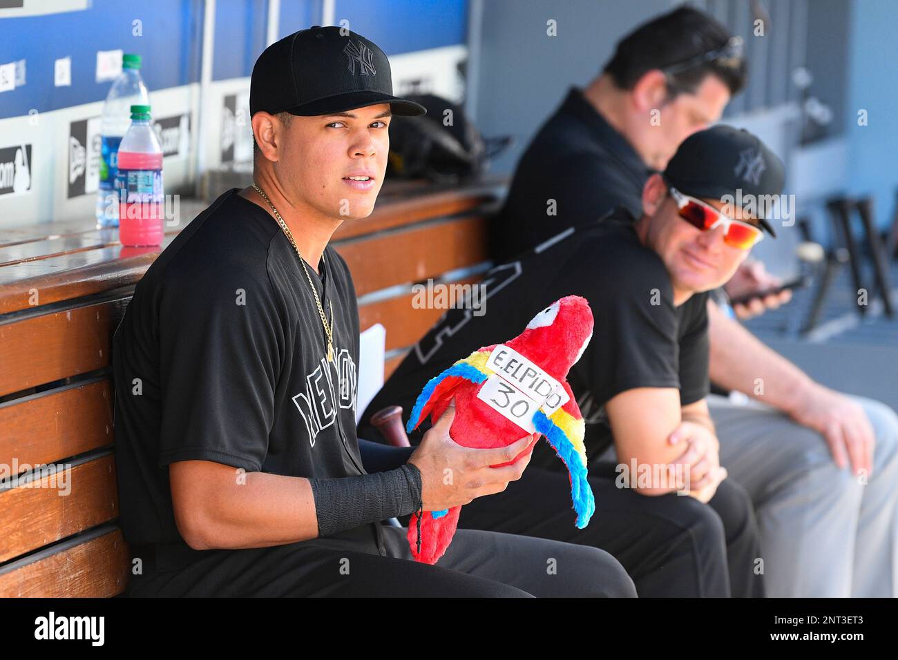 LOS ANGELES, CA - AUGUST 25: New York Yankees third baseman Gio Urshela ...