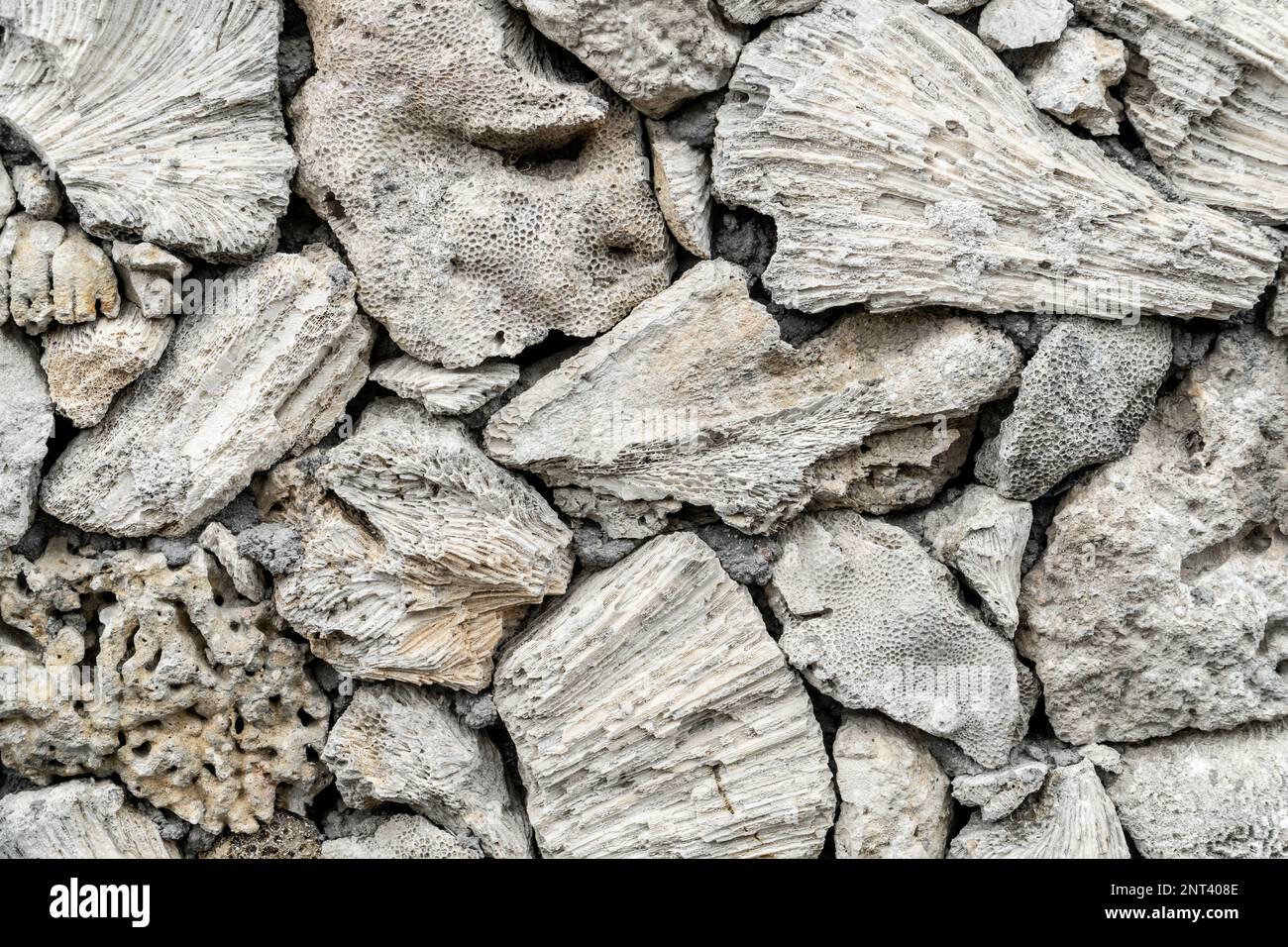 Background wall build from and decorated with seastones, ocean sand and ...