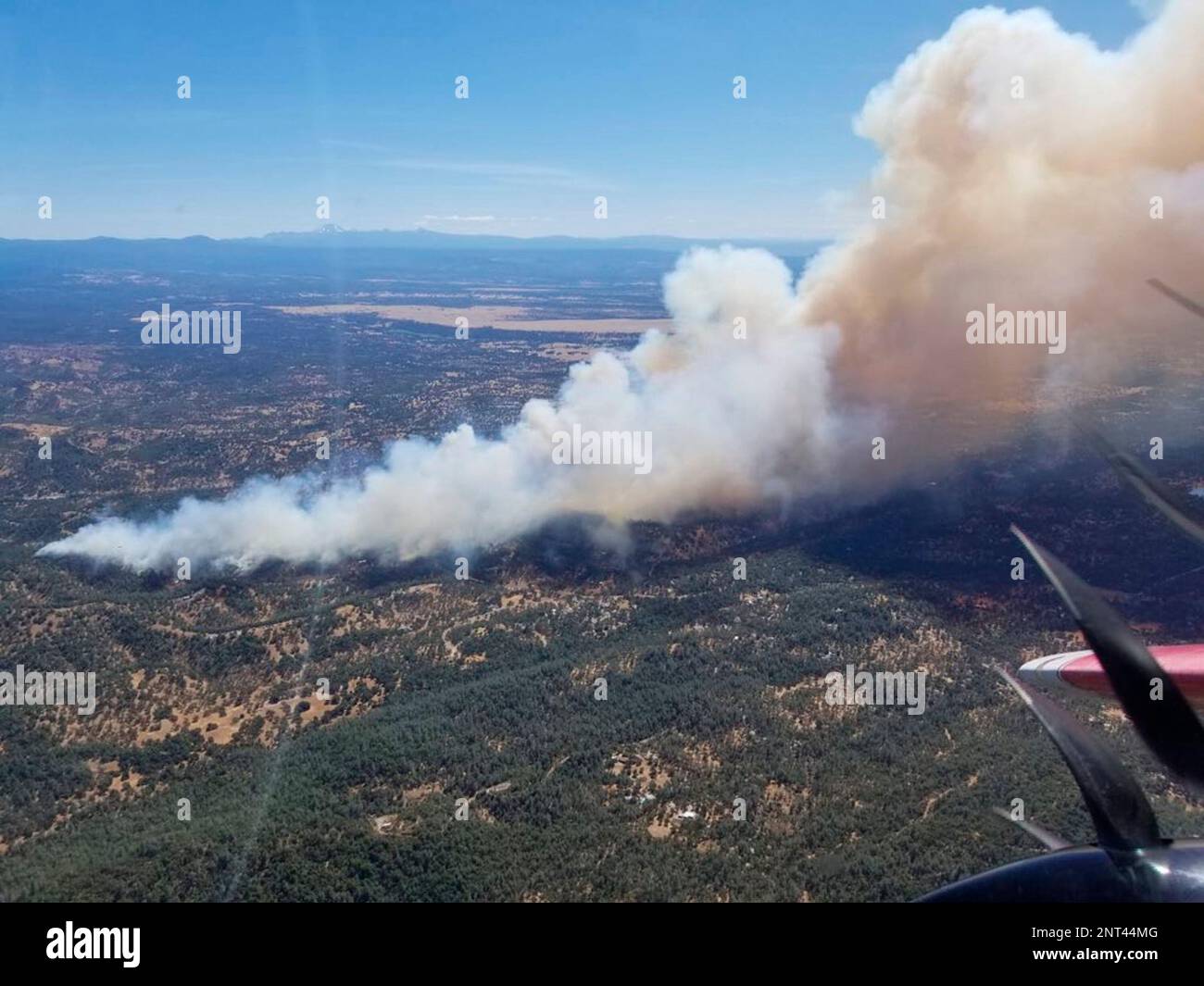 This photo provided by Cal Fire shows an aerial view of the Mountain ...