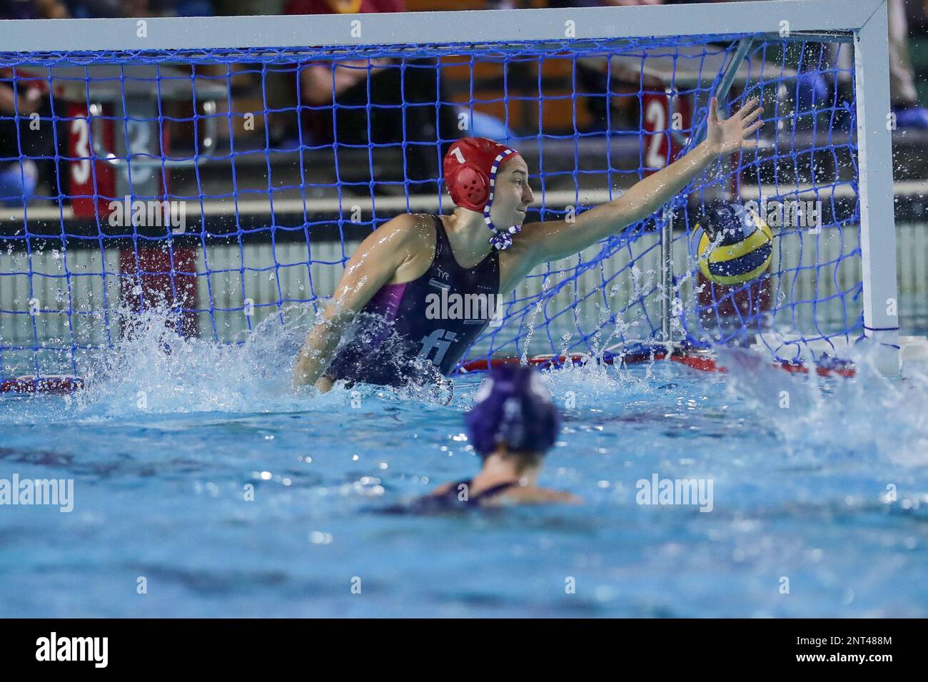Polo Acquatico Frecciarossa, Rome, Italy, February 25, 2023, Laura ...