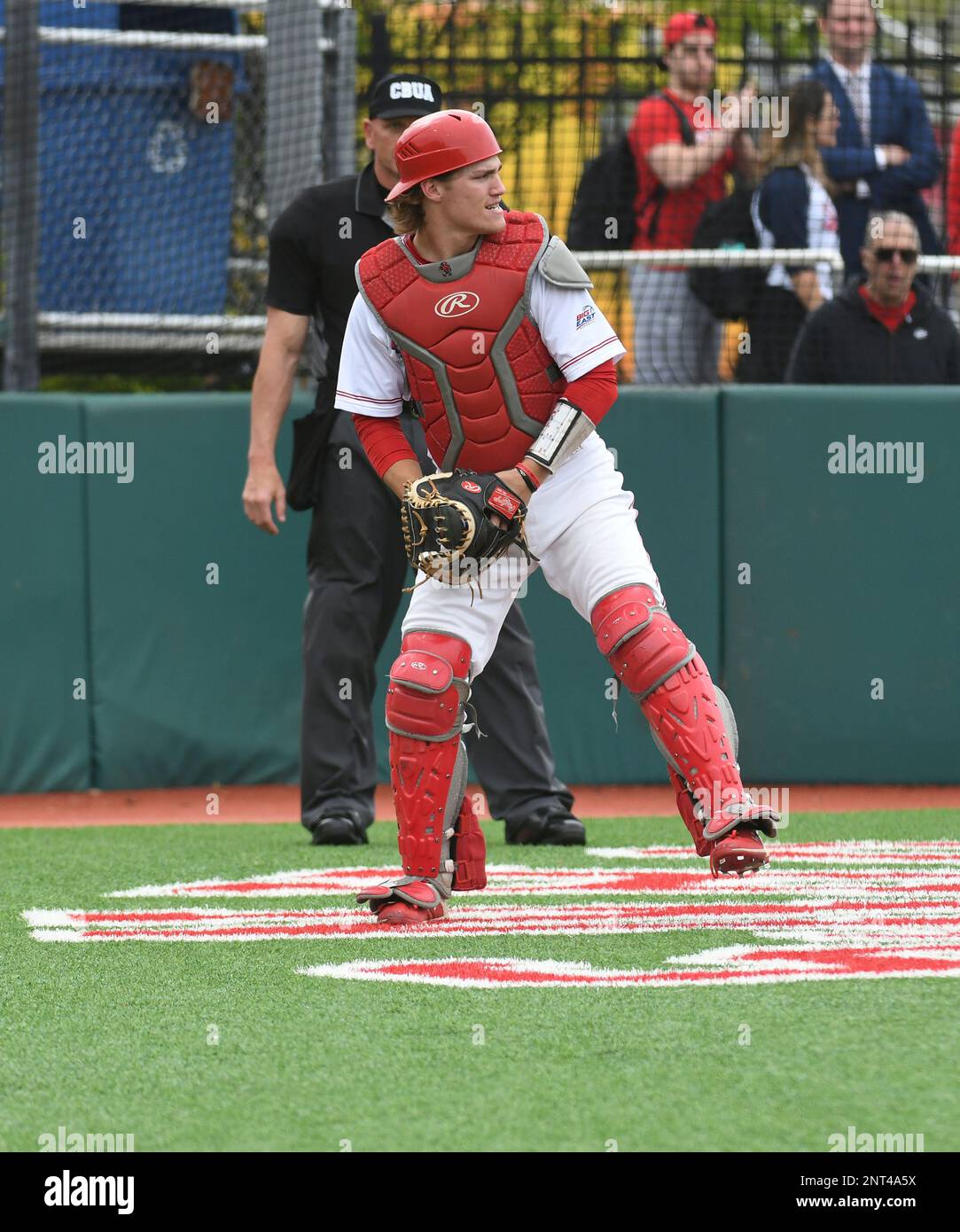St. John's University Redstorm catcher Colin Wetterau (25) during game ...