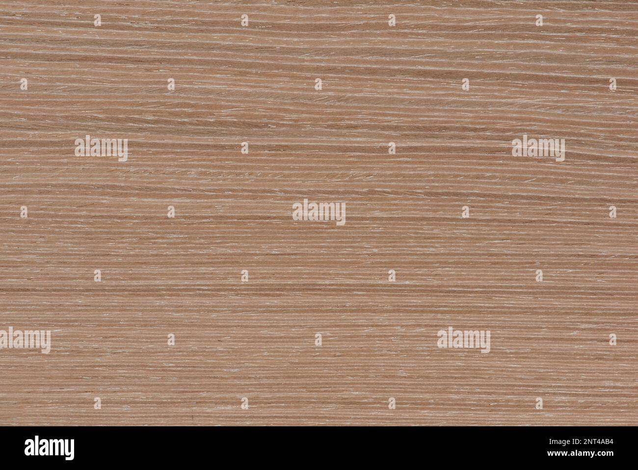 Natural oak texture. Wood texture. Oak board for furniture production ...