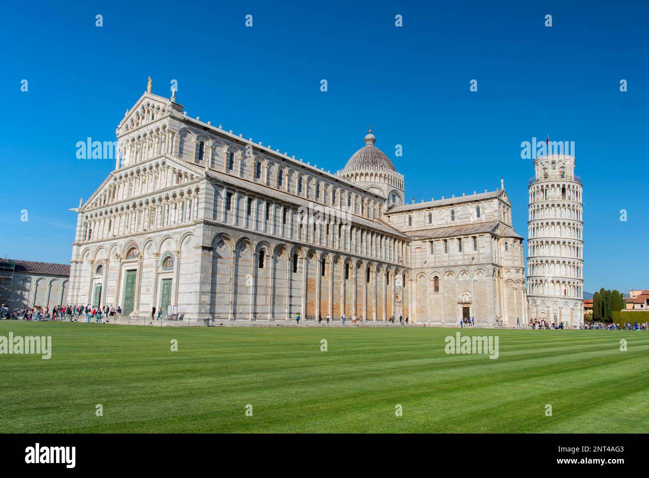 Bronze griffin pisa hi-res stock photography and images - Alamy
